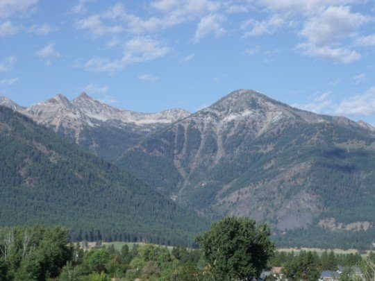 Caminando Entre Dos Mundos, una Trayectoria Personal, por Elizabeth ...