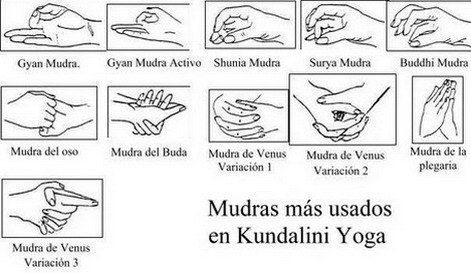 La realización y familiarización de los movimientos de yoga se pueden encontrar en los archivos ...