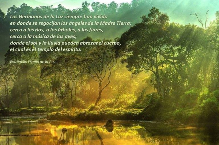 Mensaje Lady Miriam: Descubre tu Poder Divino | Gran Hermandad Blanca