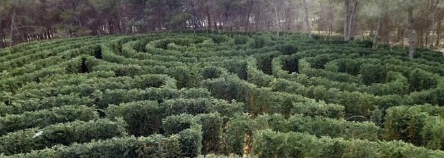 Simbología del Laberinto: el Mito y la Historia - Gran Hermandad Blanca
